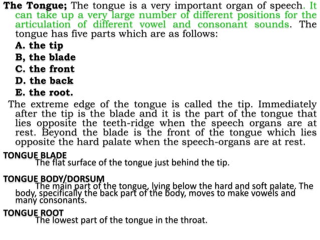 The Anatomy and Physiology of Speech Production(Phonetics) | PPTX
