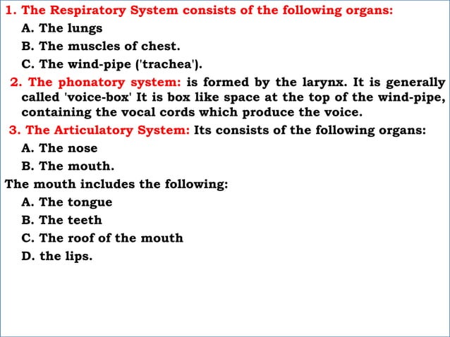The Anatomy and Physiology of Speech Production(Phonetics) | PPTX