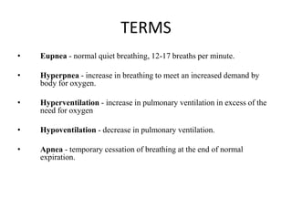 The anatomy and physiology of the respiratory system | PPTX
