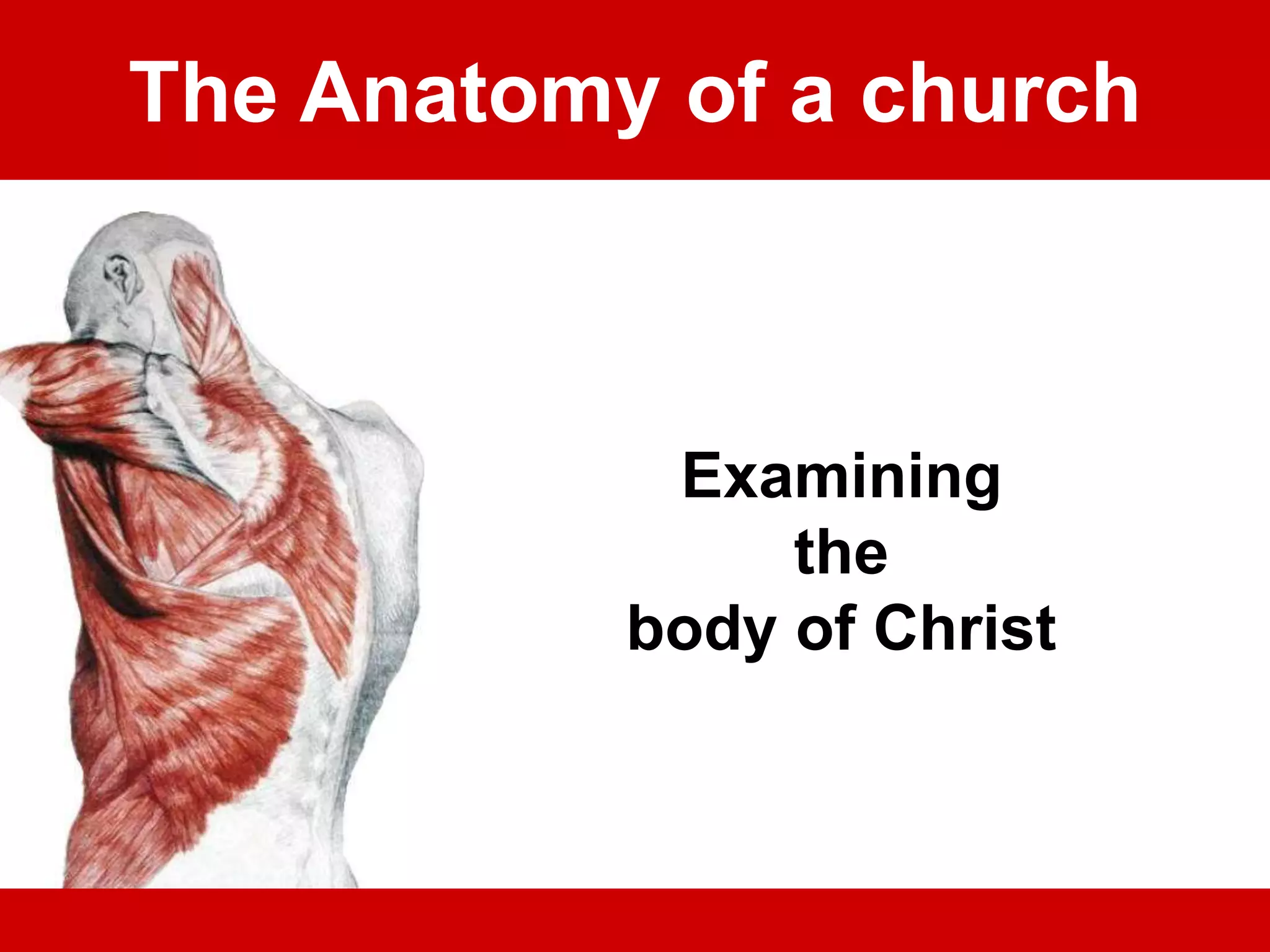 The anatomy of a church - an examination | PPT