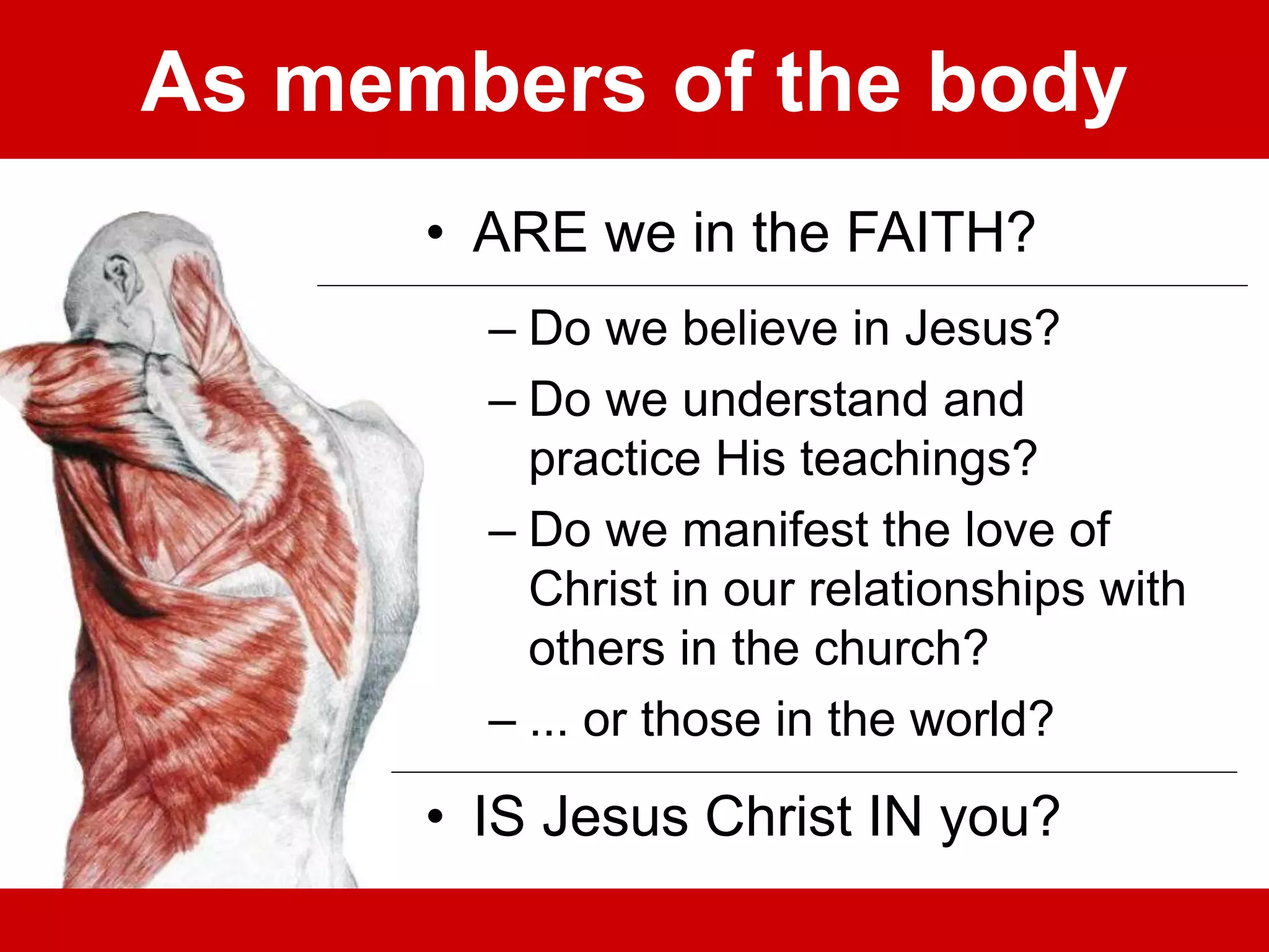 The anatomy of a church - an examination | PPT