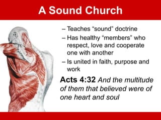 The anatomy of a church - an examination | PPT | Free Download