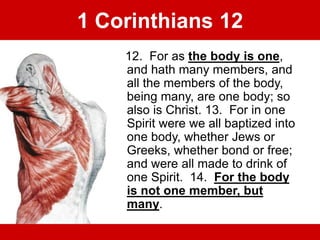 The anatomy of a church - an examination | PPT