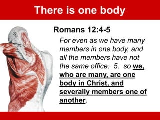 Romans 12 4 Kjv