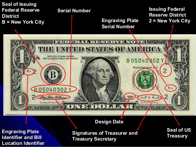 The anatomy of a dollar bill
