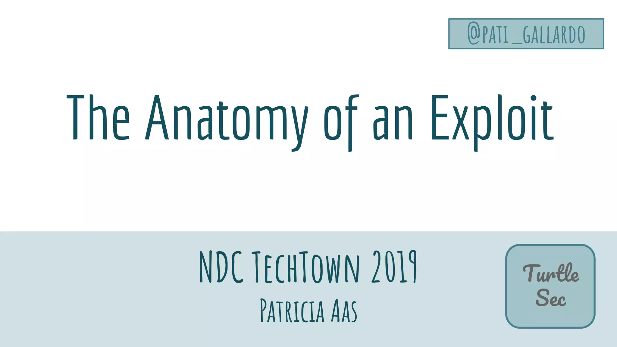 The Anatomy of an Exploit (NDC TechTown 2019) | PPT