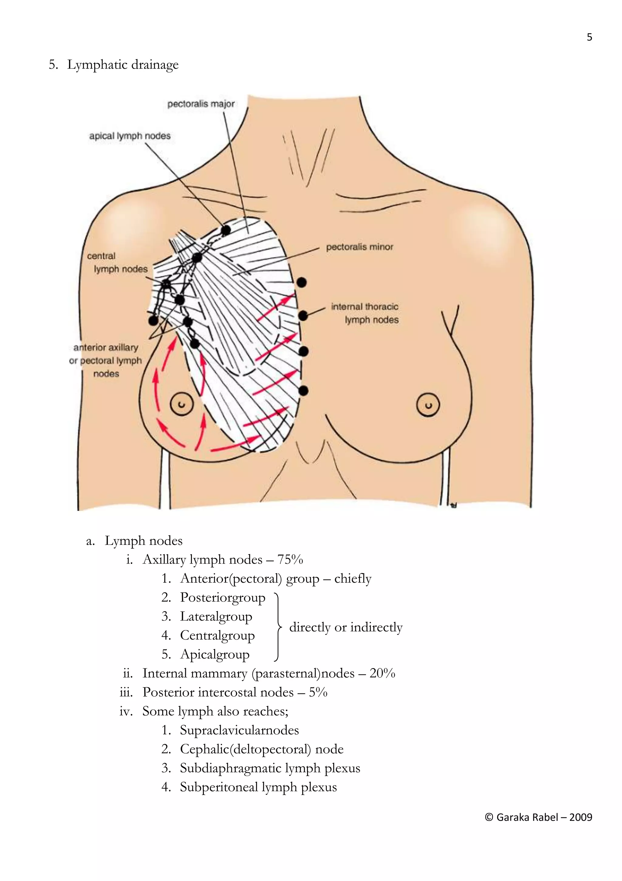 The Anatomy of Breast | DOCX