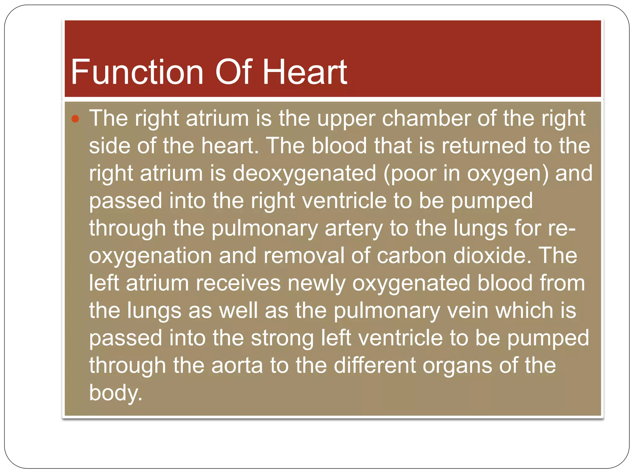 The Anatomy Of Heart | PPTX