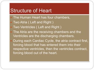 The Anatomy Of Heart | PPTX