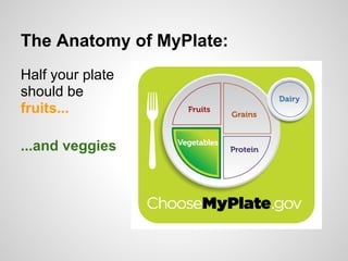 Outline Of Myplate