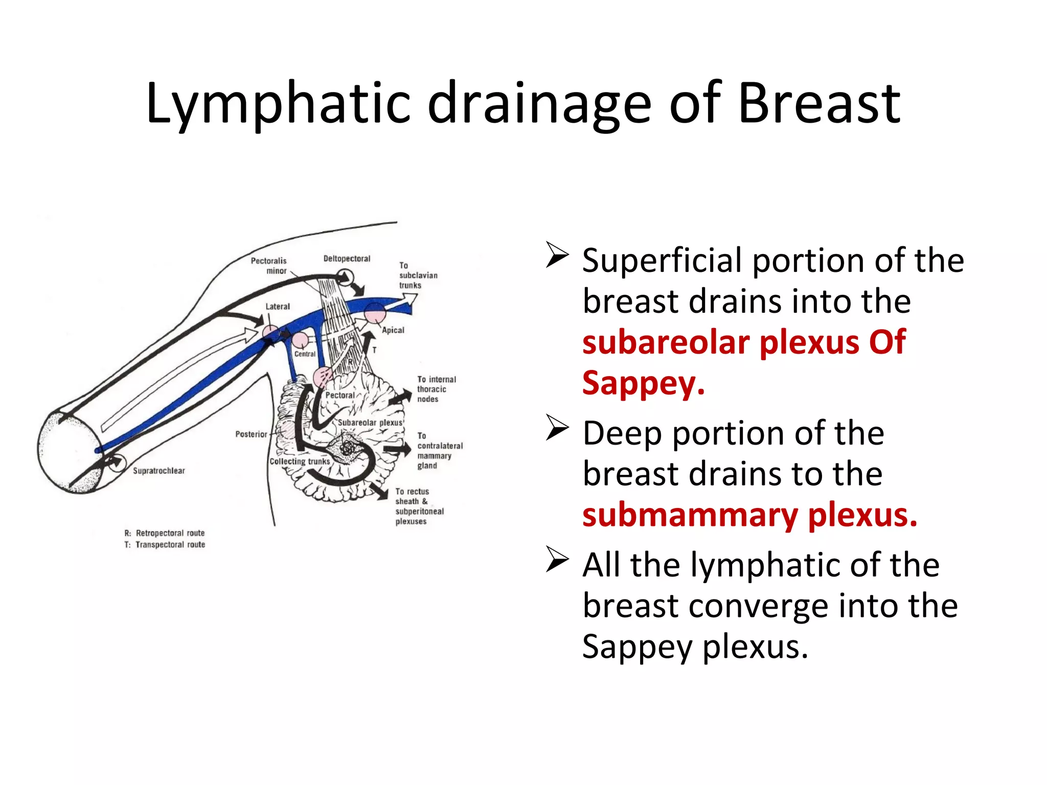 The anatomy of pectoral region | PPT