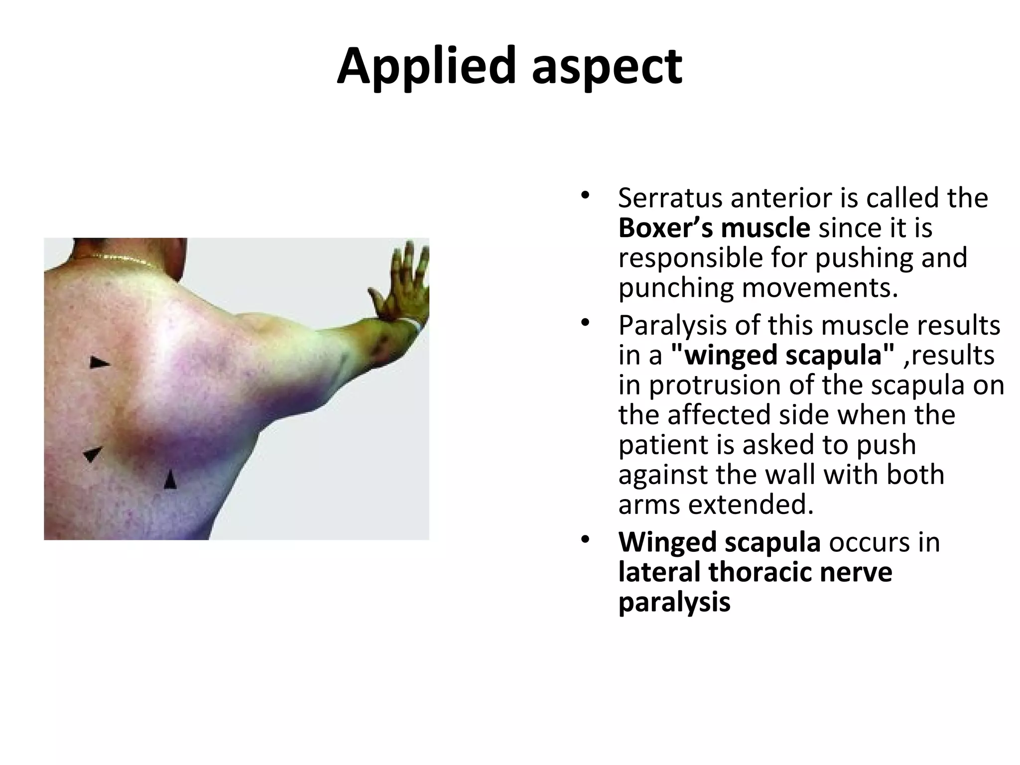 The anatomy of pectoral region | PPT