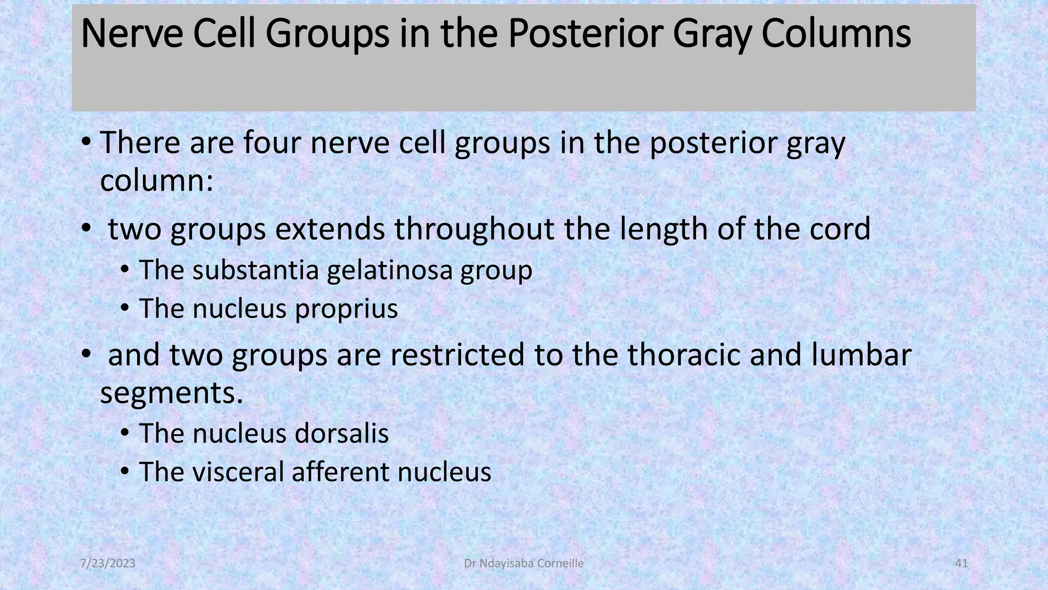 The Anatomy and physiology of Spinal cord | PDF