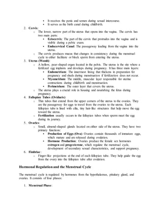 THE ANATOMY OF THE MALE REPRODUCTIVE HEALTH SYSTEM IN DETAILS.pdf