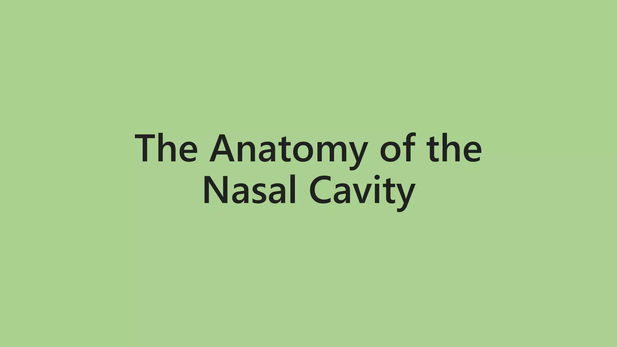 The Anatomy of the Nasal Cavity.pptx