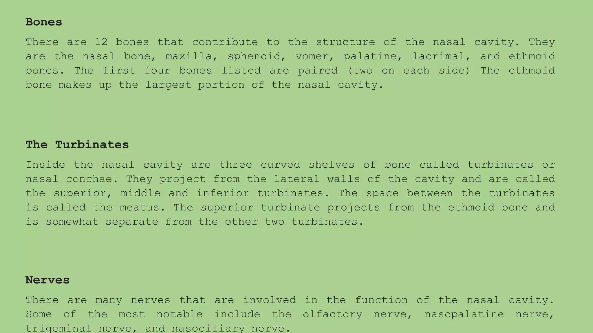 The Anatomy of the Nasal Cavity.pptx