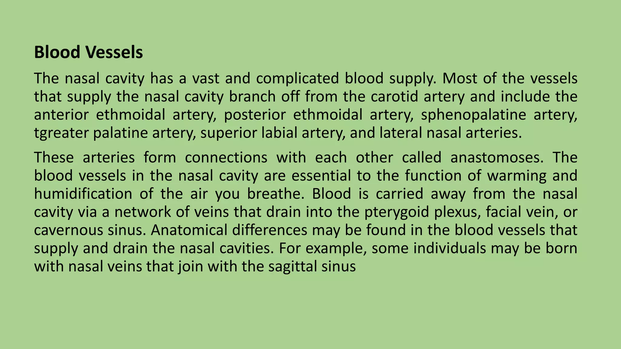 The Anatomy of the Nasal Cavity.pptx