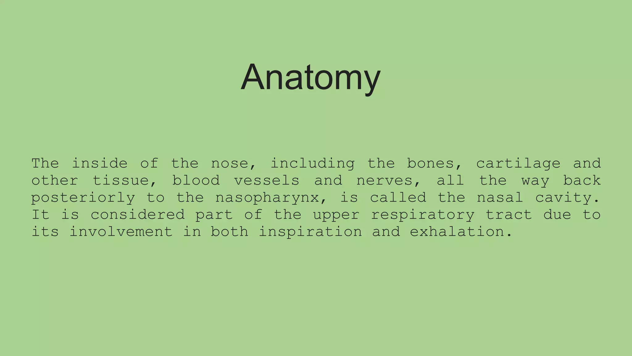 The Anatomy of the Nasal Cavity.pptx