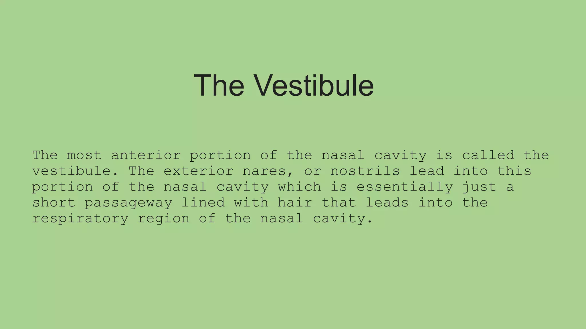The Anatomy of the Nasal Cavity.pptx