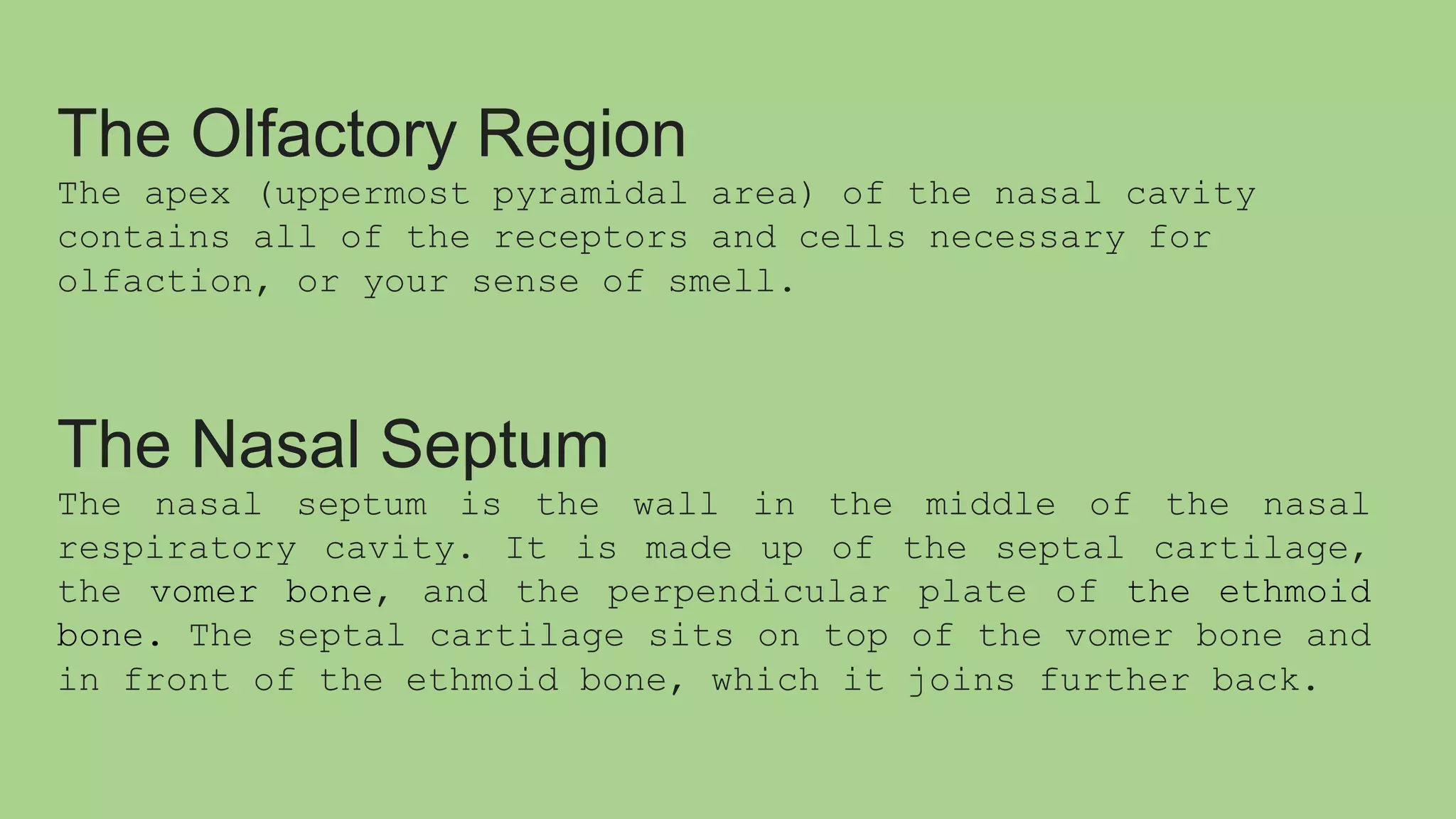 The Anatomy of the Nasal Cavity.pptx