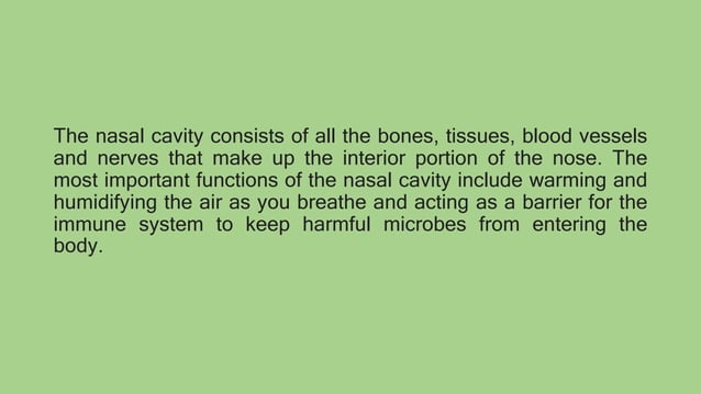 The Anatomy of the Nasal Cavity.pptx | Ear, Nose and Throat Conditions ...