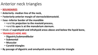 The Anatomy of the Neck.pptx pharynx and larynx | PPTX