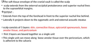THE GROSS HUMAN ANATOMY OF THE SCALP.pptx