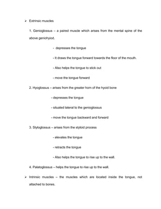 The anatomy of the tounge | DOCX