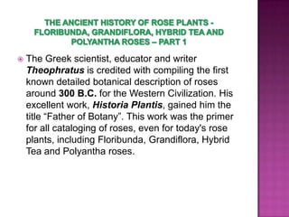 The Ancient History of Rose Plants - Floribunda, Grandiflora, Hybrid ...