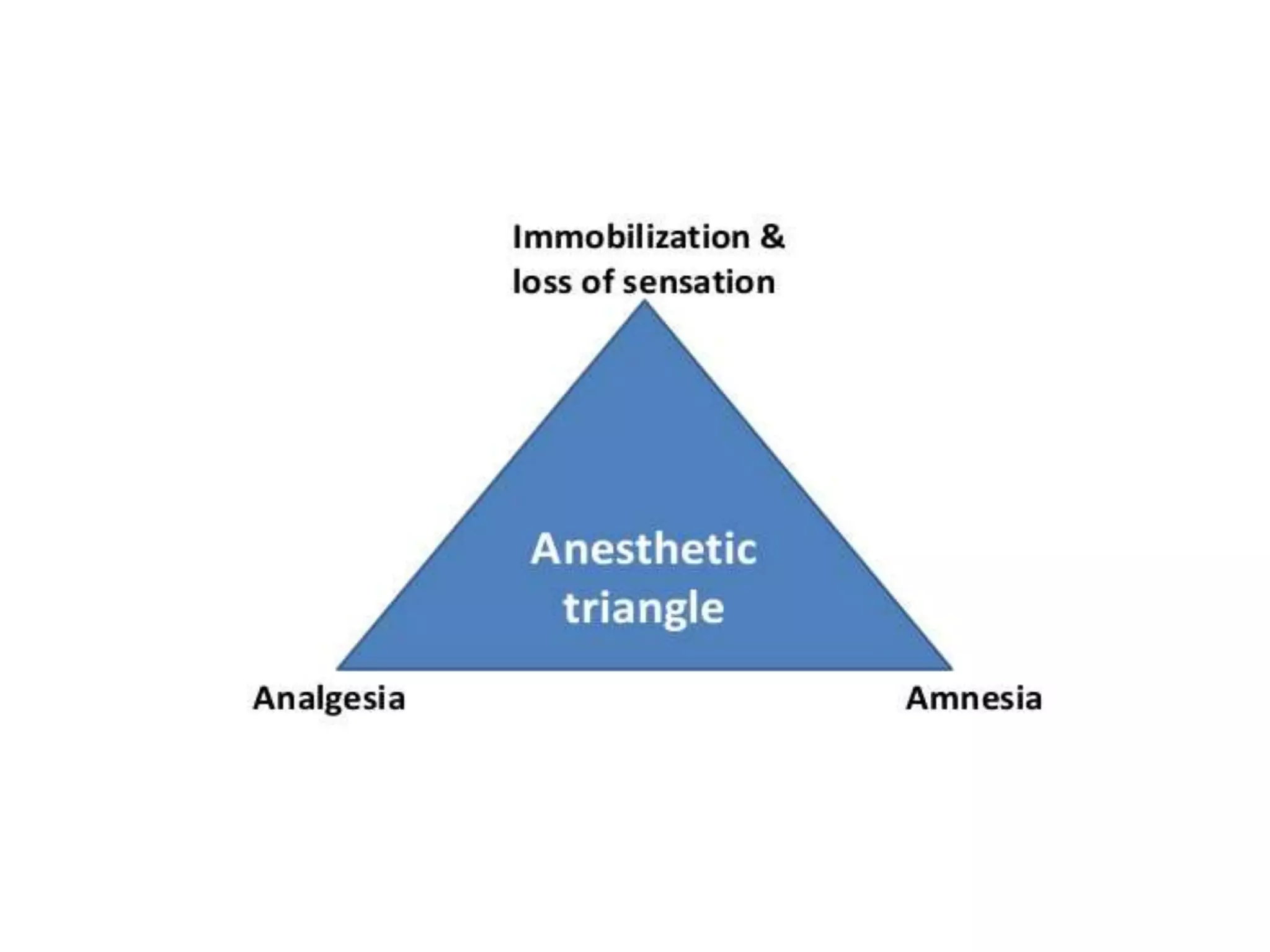 The anesthesia of birds and lab animals | PPT