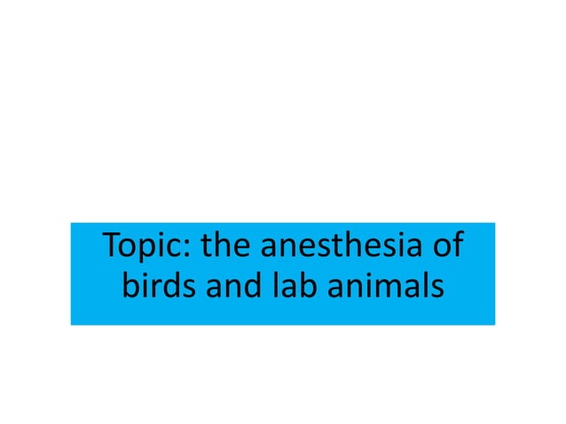 The anesthesia of birds and lab animals | PPTX