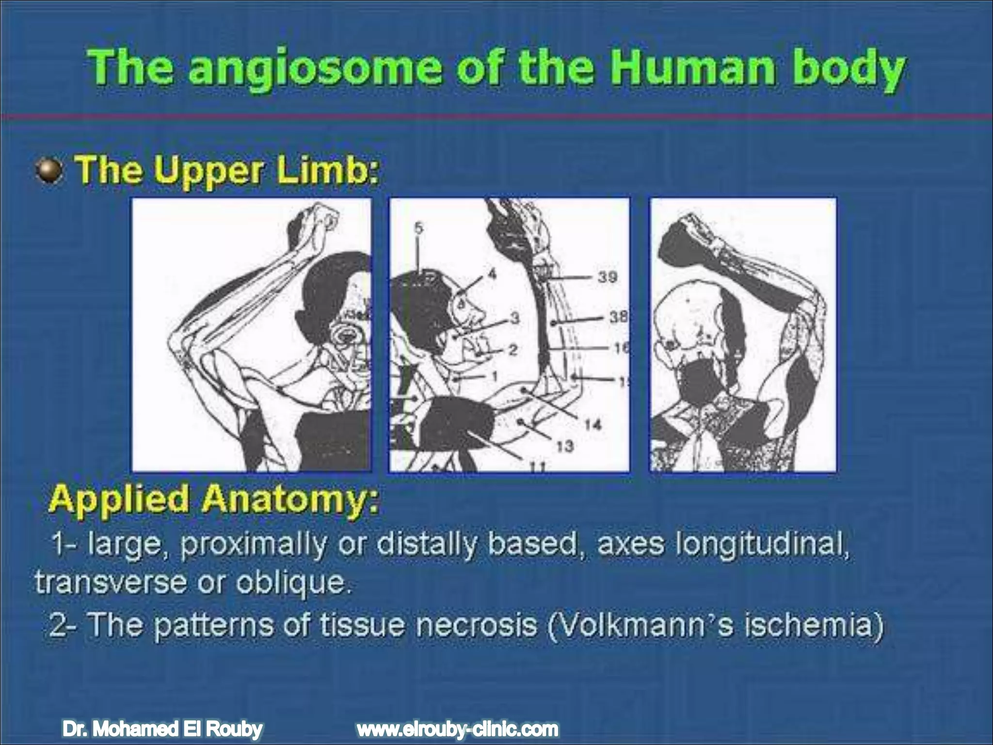 The angiosomes of human body | PPT