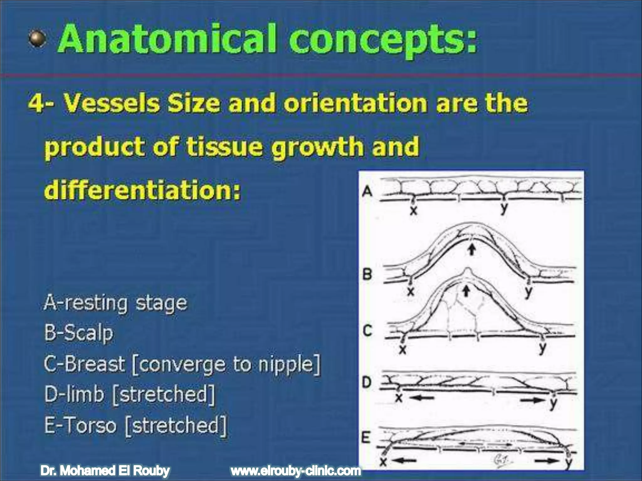 The angiosomes of human body | PPT