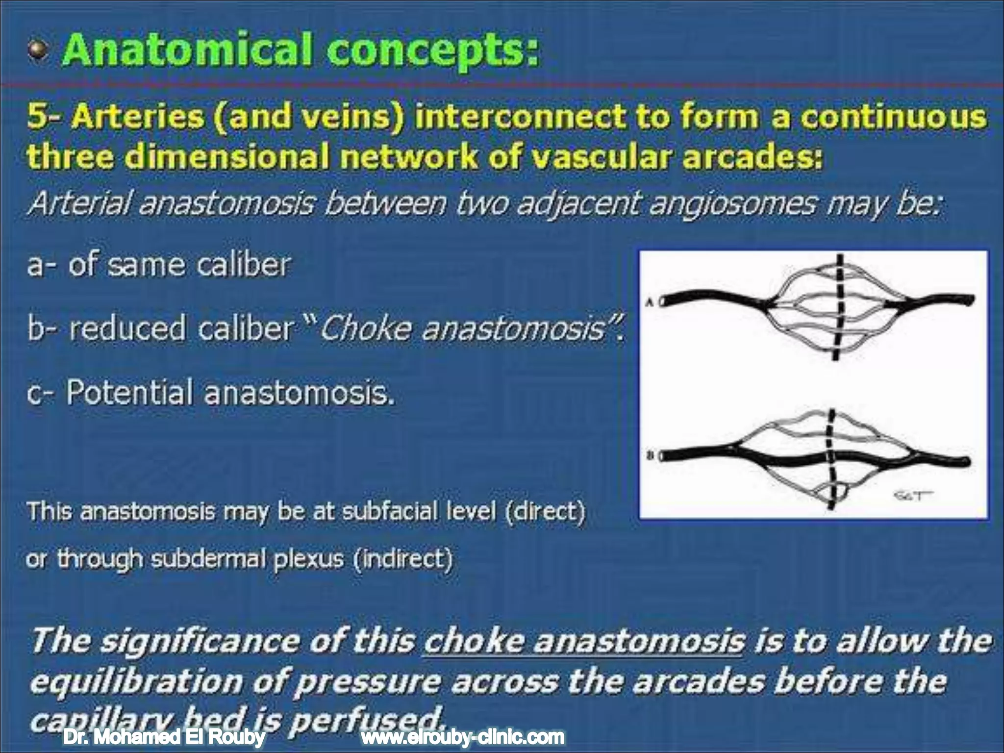 The angiosomes of human body | PPT