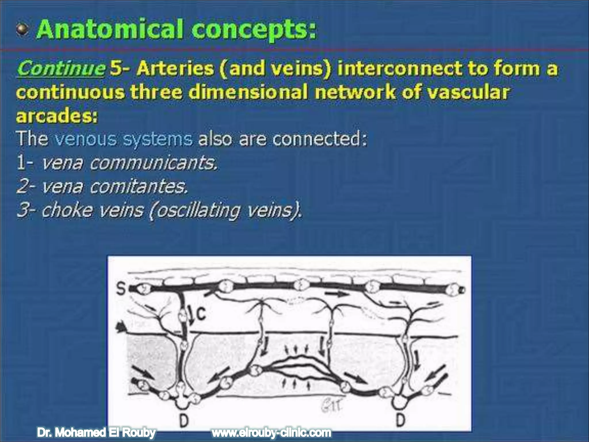 The angiosomes of human body | PPT