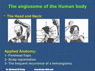 The angiosomes of human body | PPT