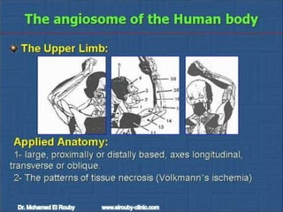 The angiosomes of human body | PPT