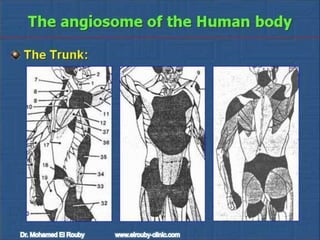 The angiosomes of human body | PPT