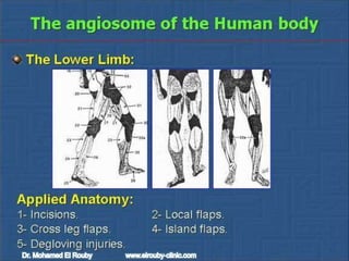 The angiosomes of human body | PPT
