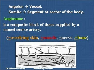 The angiosomes of human body | PPT