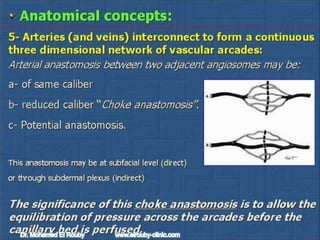 The angiosomes of human body | PPT