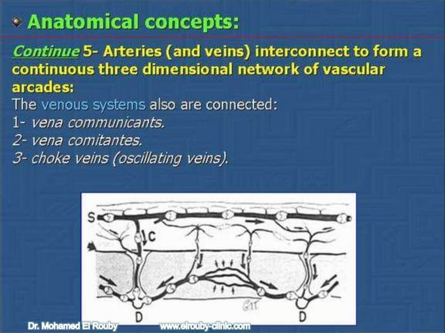 The angiosomes of human body | PPT