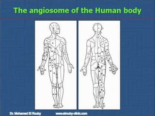The angiosomes of human body | PPT