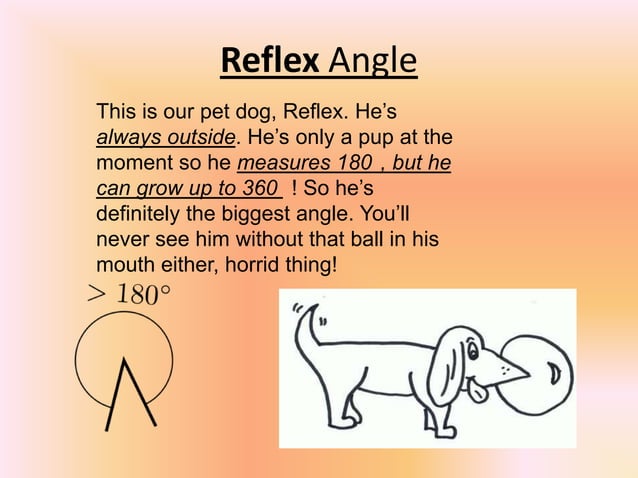 The angles family | PPTX | Dogs | Pets