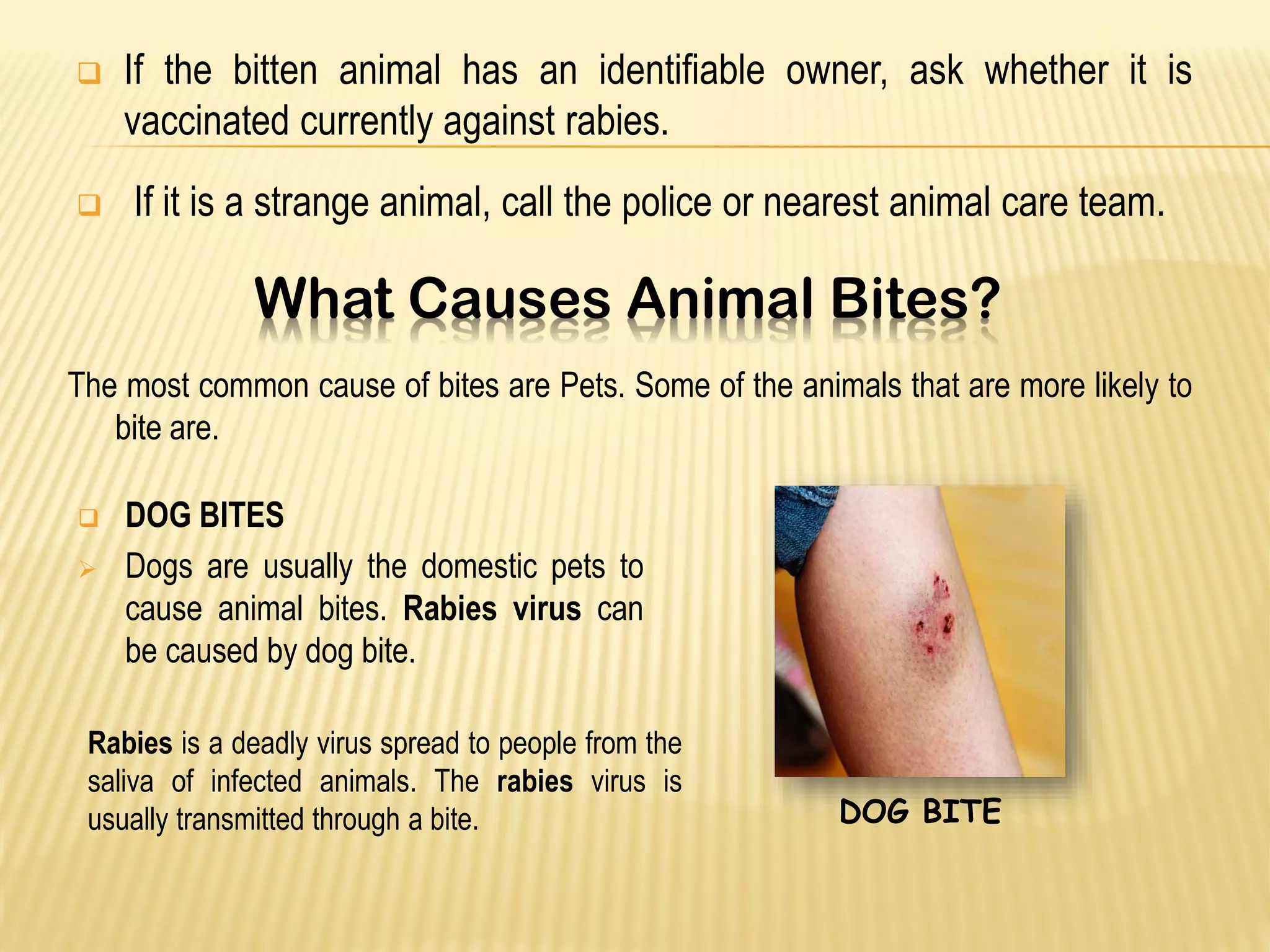 THE ANIMAL BITES AND WOUNDS | PDF