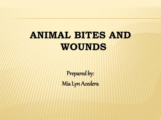 THE ANIMAL BITES AND WOUNDS | PDF