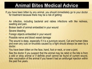 THE ANIMAL BITES AND WOUNDS | PDF
