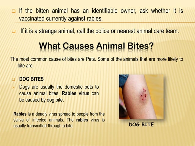 THE ANIMAL BITES AND WOUNDS | PDF