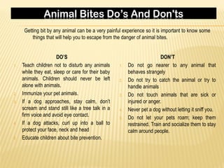THE ANIMAL BITES AND WOUNDS | PDF