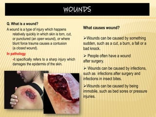 Contusion Wound Animal